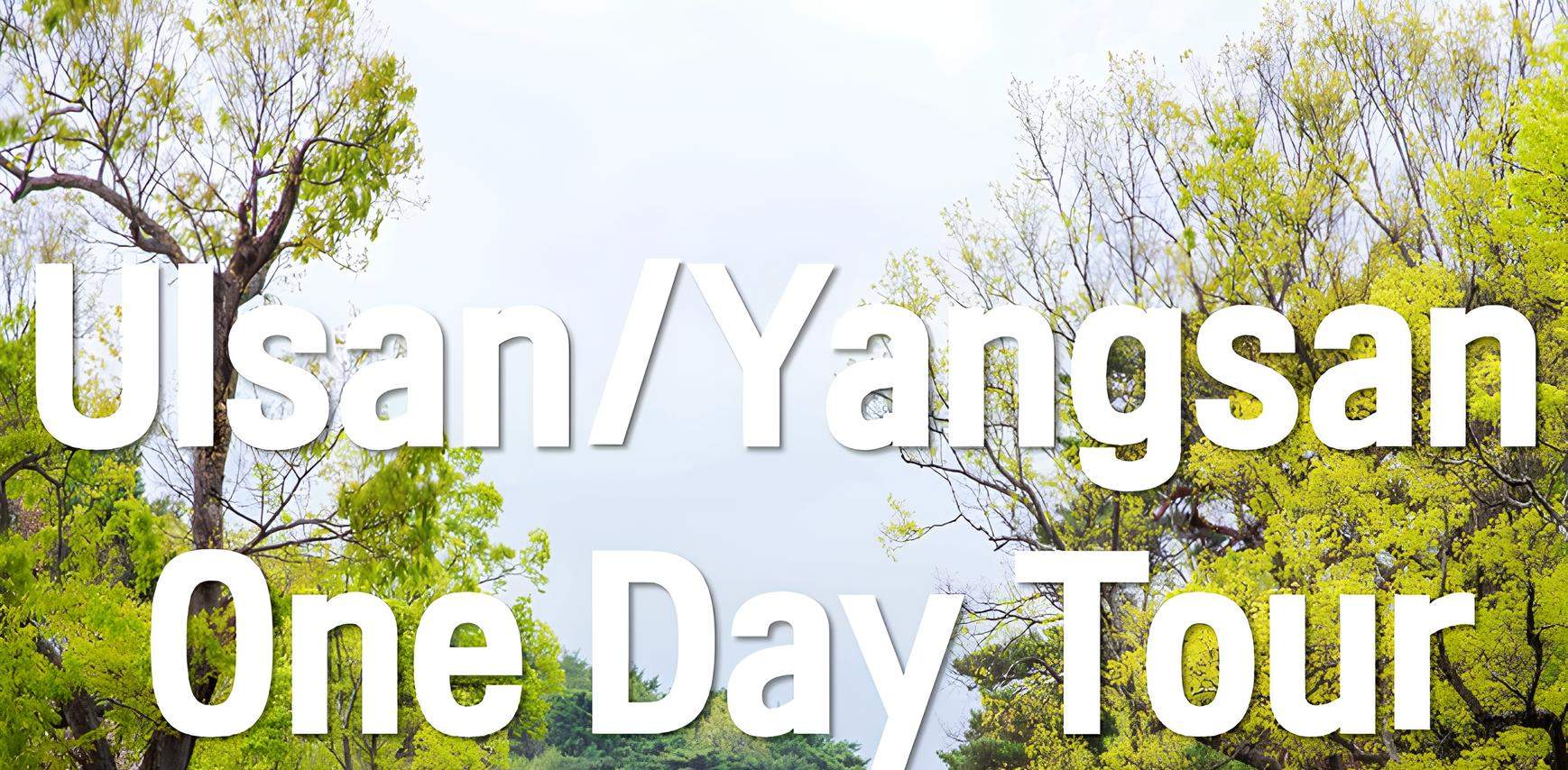 [BTO限定] 釜山発 蔚山＆梁山 1日ツアー | Klook